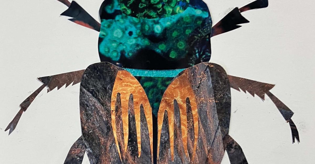 Insect Collage X Nature Connection | nearfield