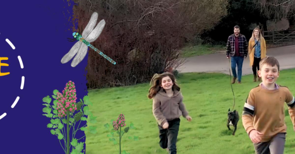 Interactive Nature Trail | nearfield