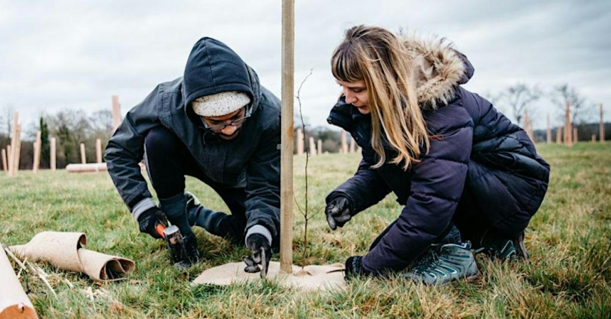 Volunteer Tree Planting @ Laverton, Bath | nearfield