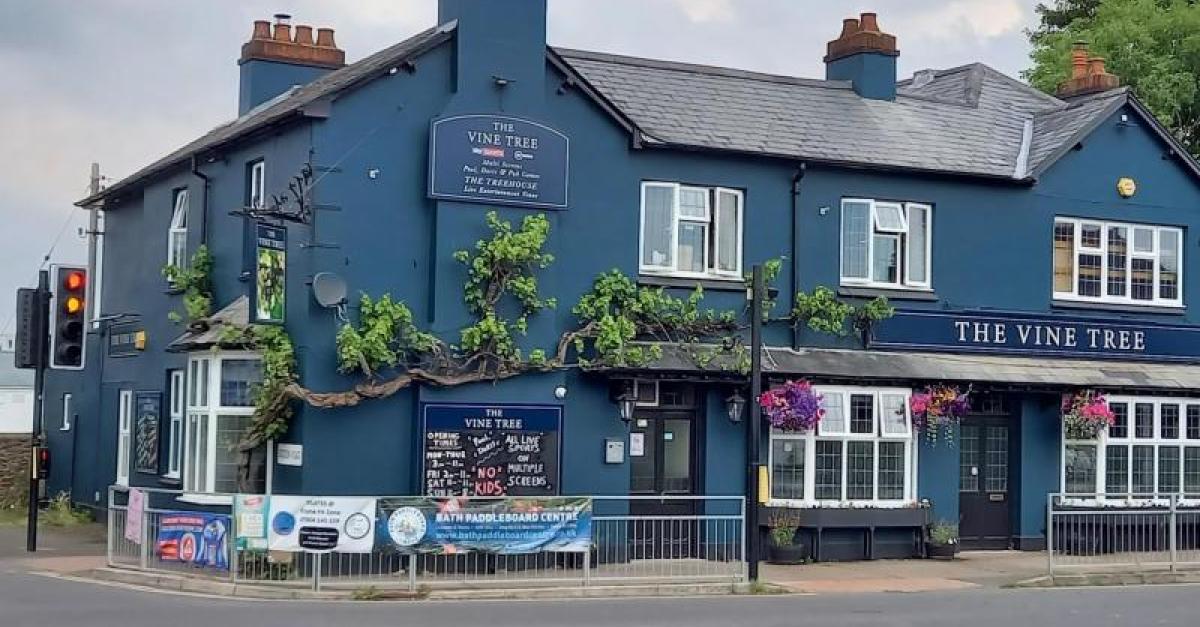 The Tree House | nearfield