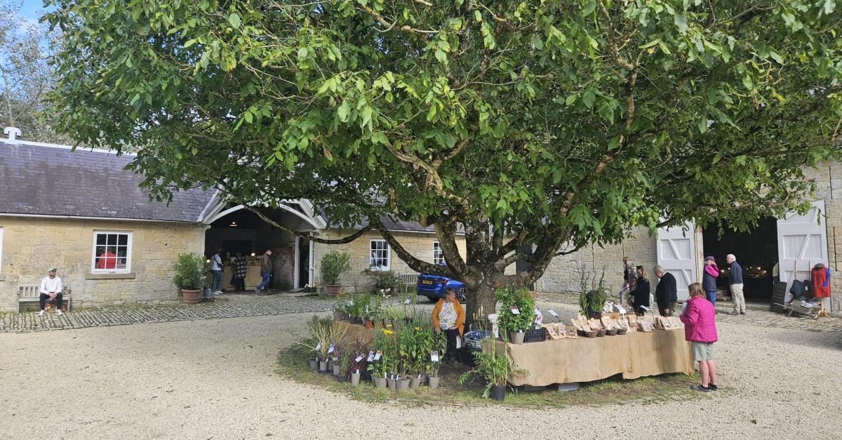 Lower Lawn Barns | nearfield