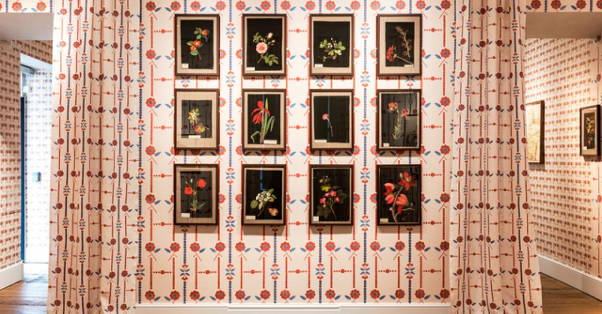 British Museum Curator talk: Mary Delany’s ‘Paper... | nearfield